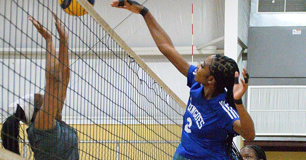 UB Mingoes get close to first win, but come up short | Sports ...