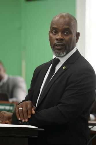 Iram Lewis quits FNM | News | thenassauguardian.com