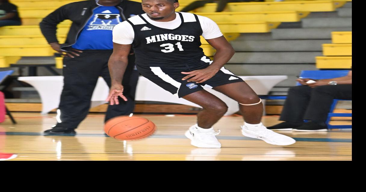 Mingoes can’t hold off TMT Giants in NPBA playoff action | Sports ...