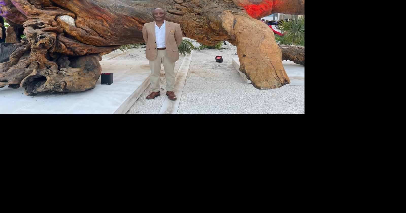 Old tamarind tree now a work of art | News | thenassauguardian.com