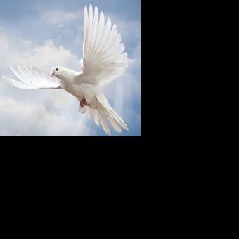 Baby Matteo Clarence Gordon Ralph Moxey | Obituaries ...