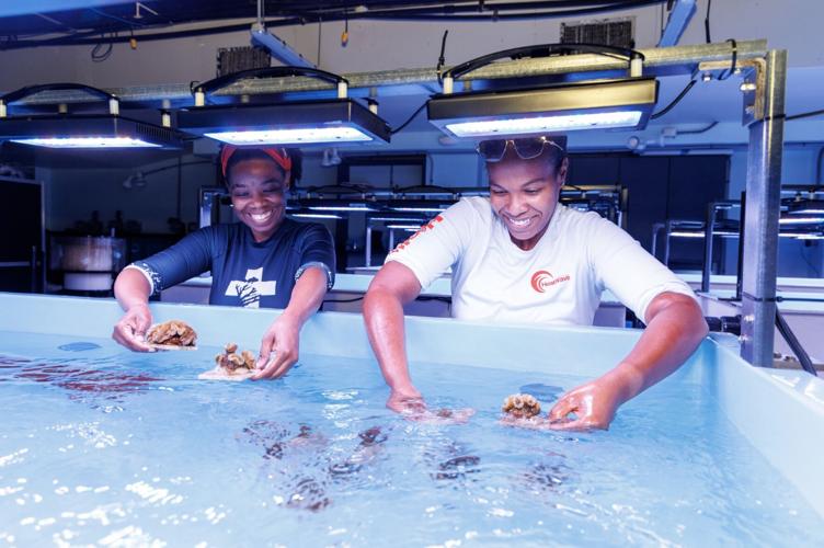 Combating coral reef crisis | Lifestyles | thenassauguardian.com