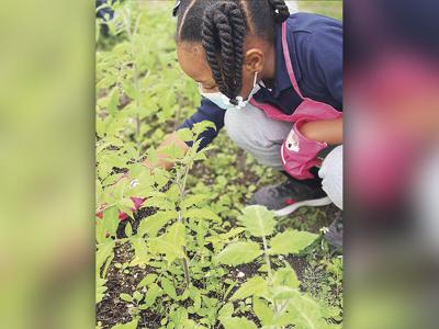 MSSCA students take their lessons outdoors | Lifestyles ...