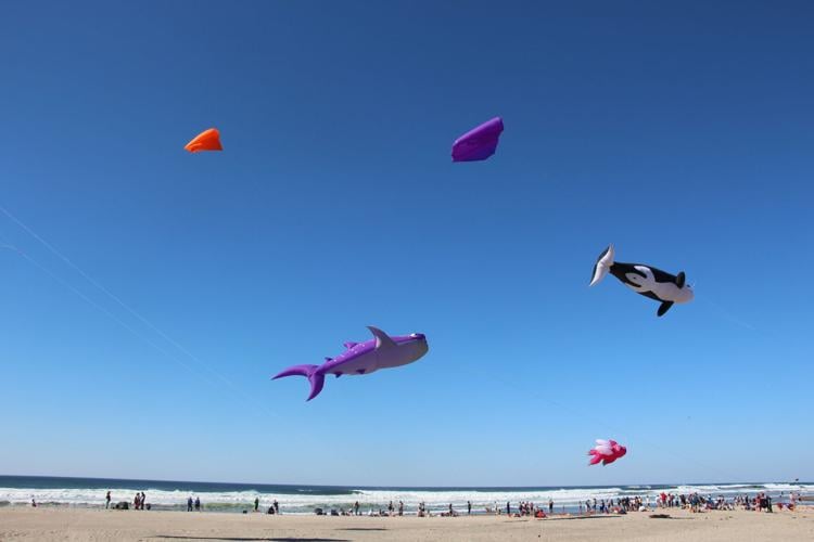 Photos / In the Air: Fall Kite Festival in Lincoln City | News ...