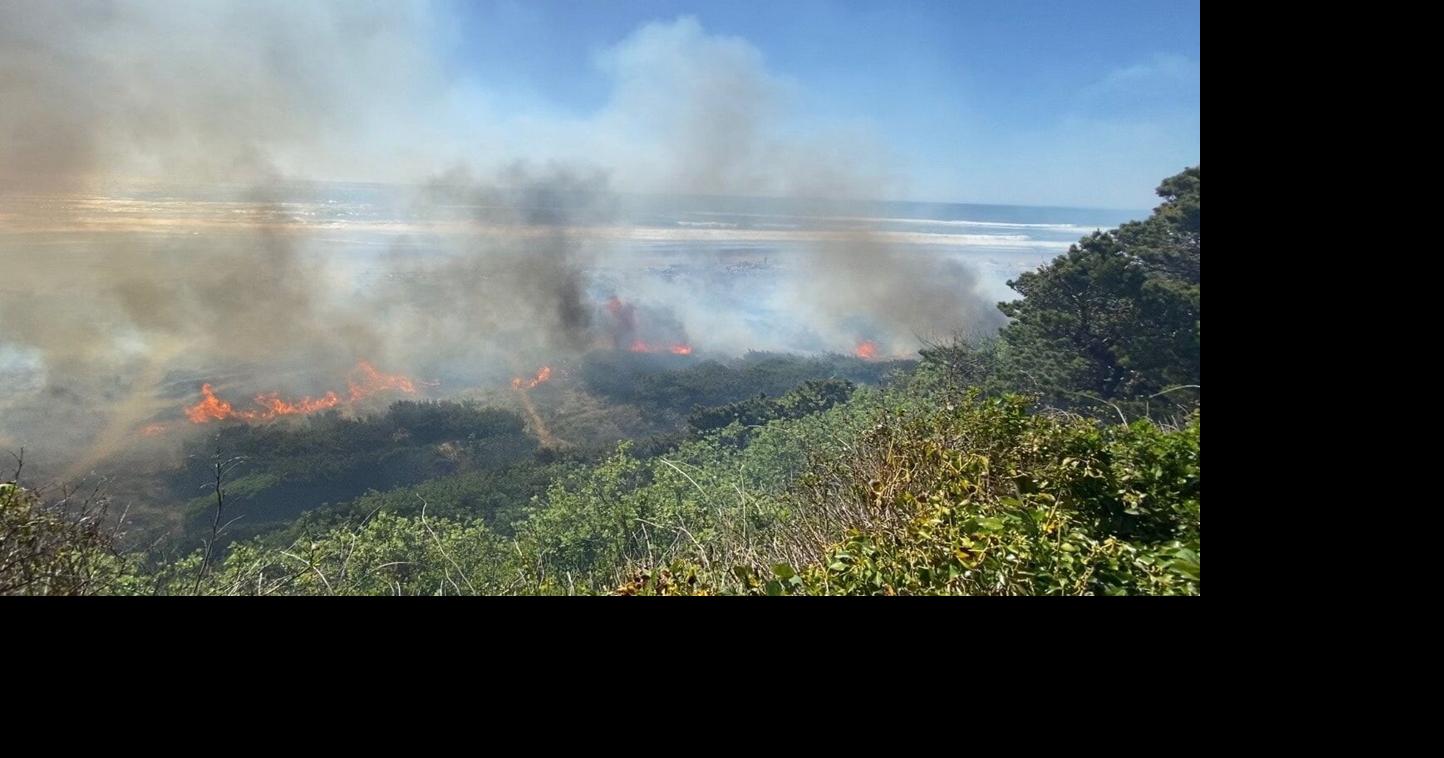 Wildfire Danger: NLFR announces complete outdoor fire ban | News ...