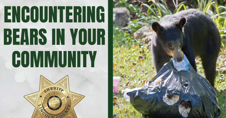 Sheriff's Tip of the Week: Encountering Bears in Your Community | News | thenewsguard.com