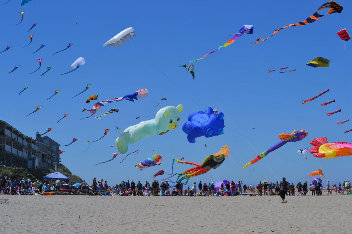 PHOTOS / NAME THE THEME: Annual contest for Kite Festival | Community ...