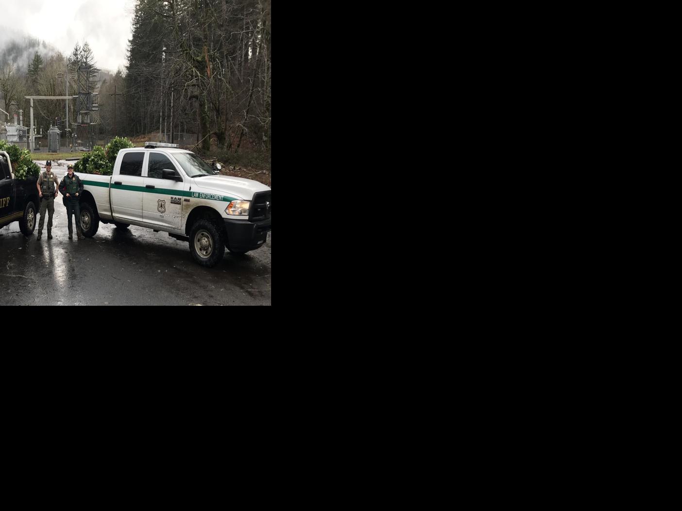 ENFORCEMENT: Forest harvesting violation | News | thenewsguard.com