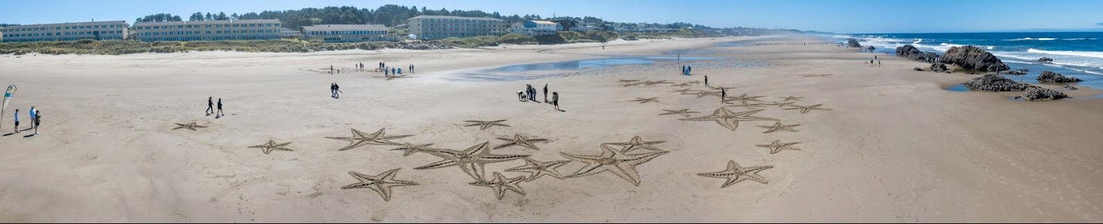 Sand-sational Artistry: Art on the Beach Contest | News | thenewsguard.com