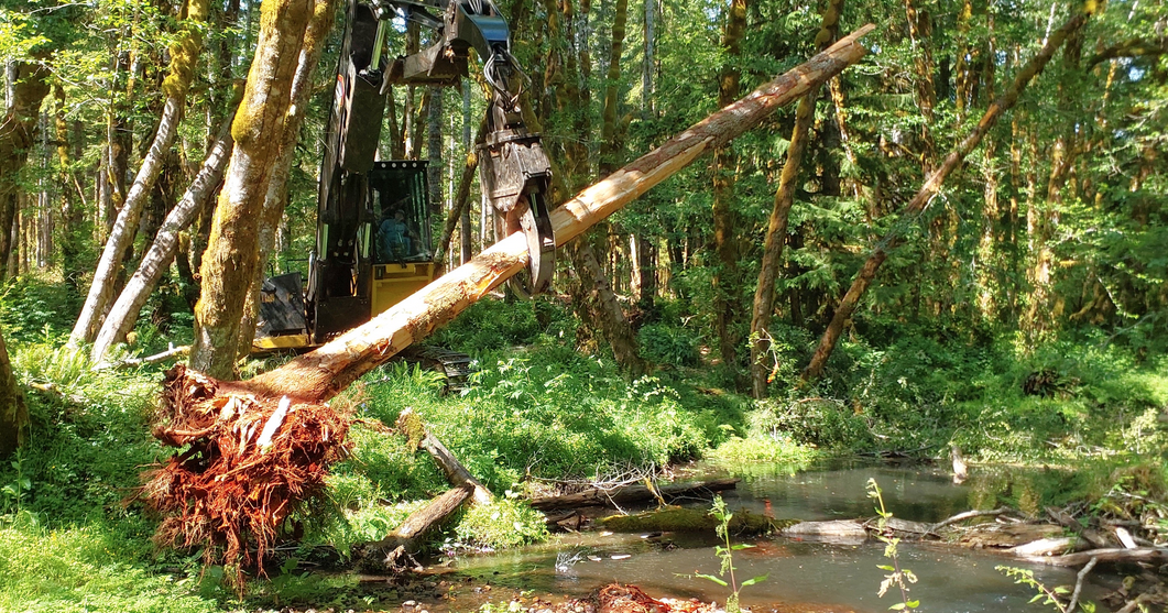 Photos: Stream projects help fish, water quality | News | thenewsguard.com