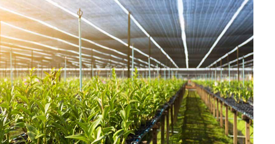 Top 20: Oregon's leading agricultural commodities | News | thenewsguard.com