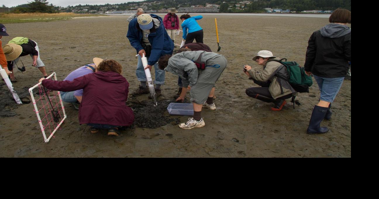 SHORELINE SCIENCE: Workshops offered | News | thenewsguard.com