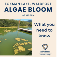 Recreational use advisory lifted for Eckman Lake | News | thenewsguard.com