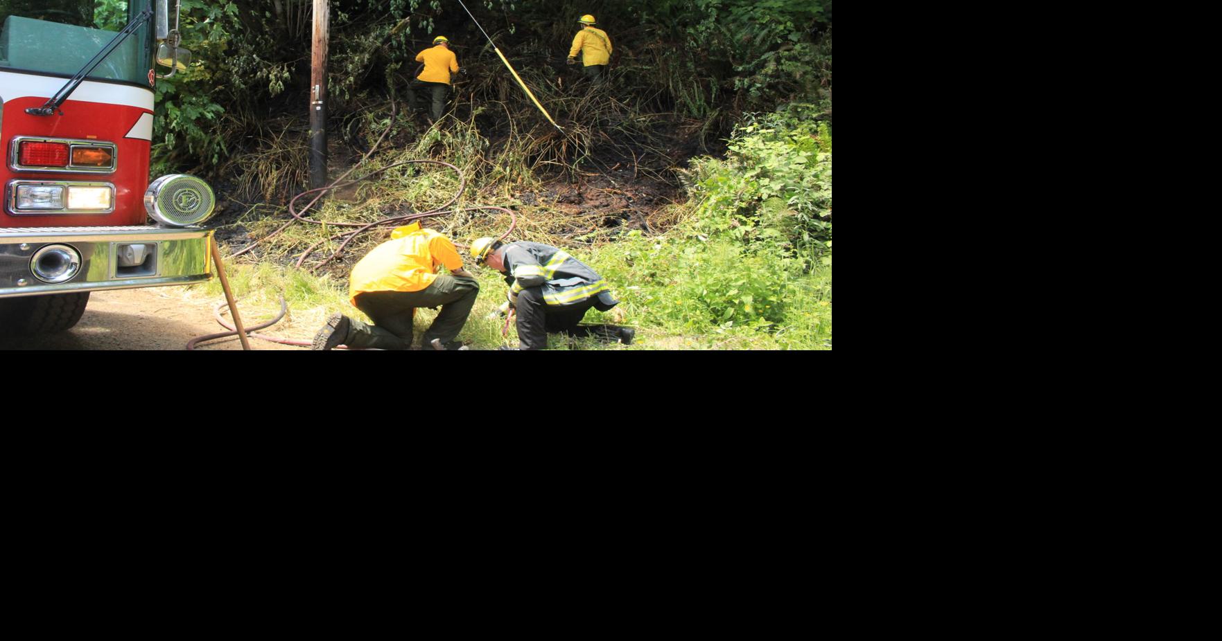 BRUSH FIRE: Hillside blaze illustrates local fire danger | News ...