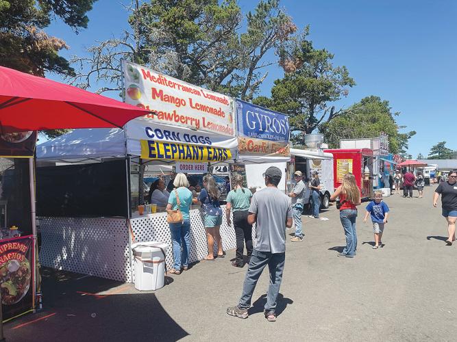 Action at the Lincoln County Fair | News | thenewsguard.com