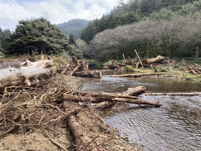 Salmon Habitat Restoration Project completed | News | thenewsguard.com