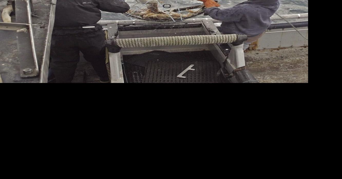 New Details / Stalled Dungeness Crab Season: Closure has 'cut off a key ...