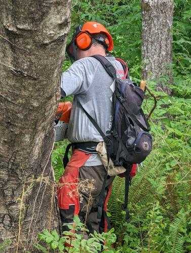 New Details - Photos / Hands-On: Team Rubicon joins local wildfire ...