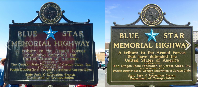 WATCH / SCOUTS: Blue Star Memorial rededicated | News | thenewsguard.com