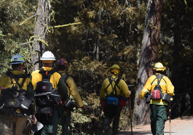 Wildfires: Lessons From Tillamook Burn | News | thenewsguard.com
