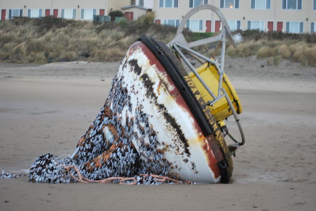 VIDEO / MISSING BUOY: Large buoy washes ashore | News | thenewsguard.com