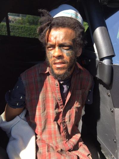 Subject in stolen vehicle arrested in McDonald's drive thru | News ...