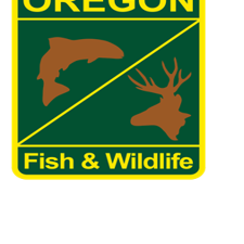 ODFW: Commission adopts 2020 Big Game Regulations | News | thenewsguard.com