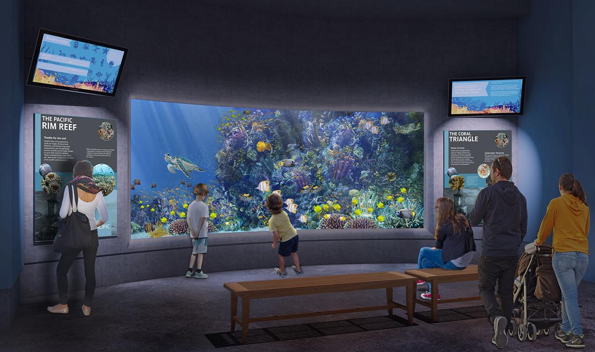 Oregon Coast Aquarium receives $500,000 challenge grant | News ...