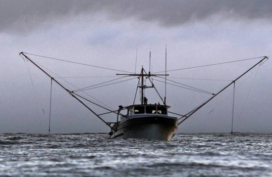 New Regulations: Commercial troll salmon season | News | thenewsguard.com