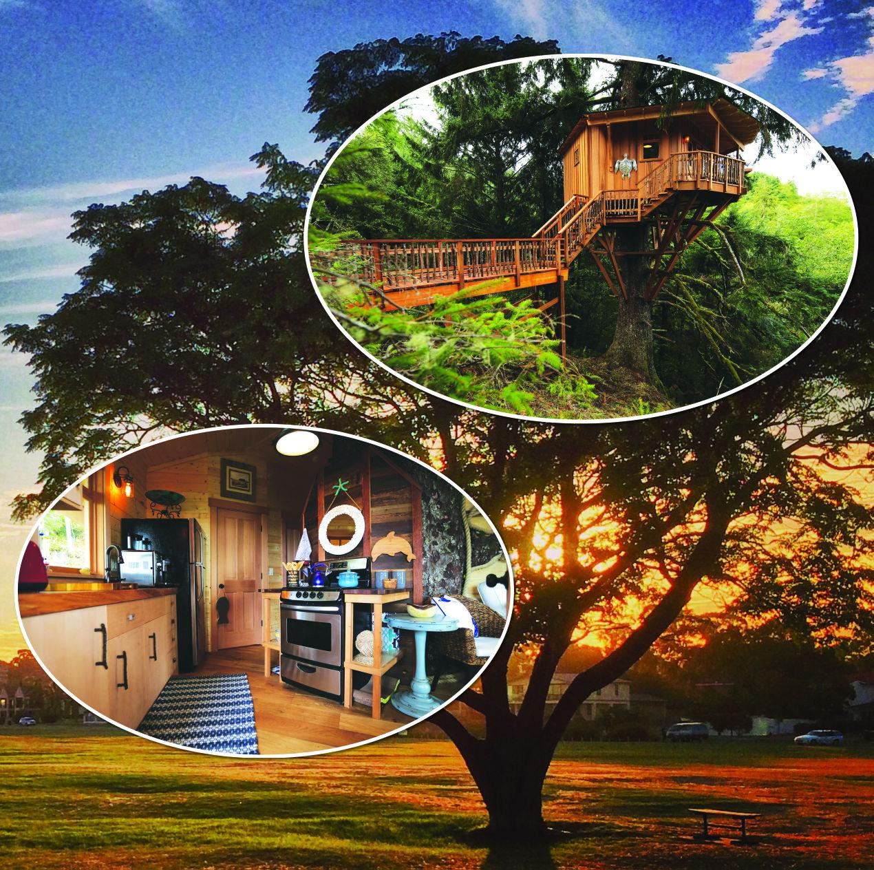 TREEHOUSE MASTERS: Local woman living in the trees | Community ...