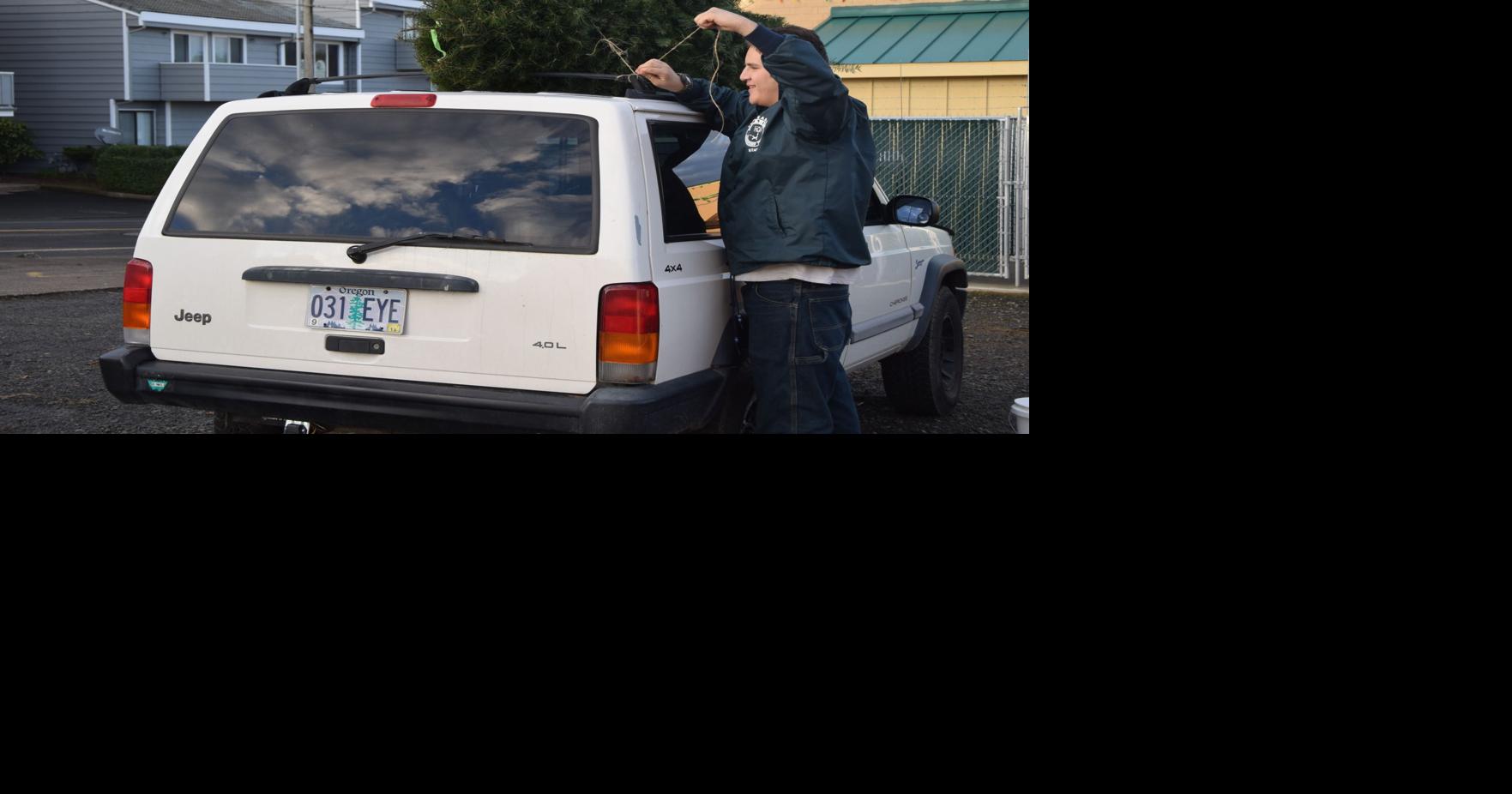 The not-so-great tree robbery | Community | thenewsguard.com