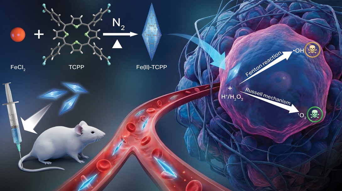 New cancer-killing material developed by OSU nanomedicine researchers ...
