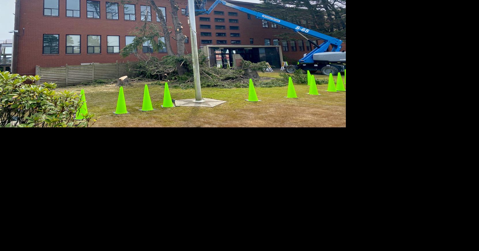 Photos / Trees Down: Several trees removed from courthouse lawn | News ...