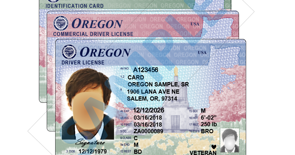 NEW DESIGN: DMV launches new license security features | News ...