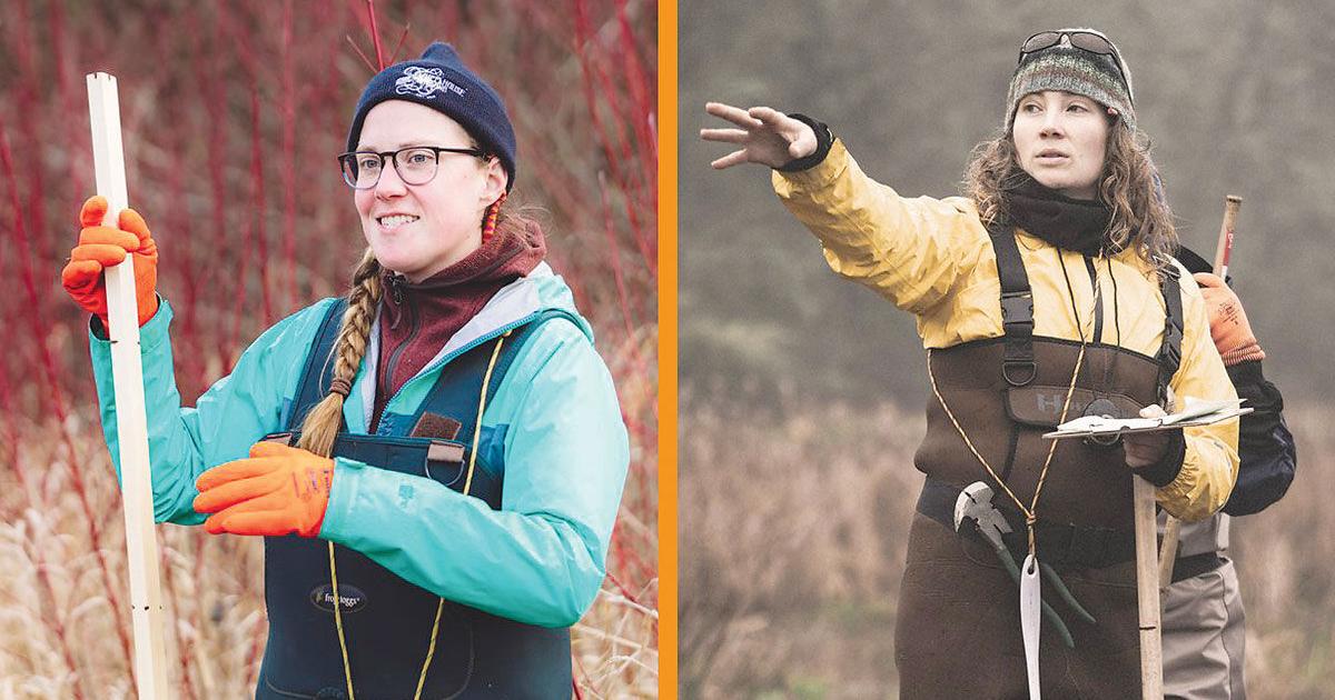 Learn about the importance of beavers | Coast Life | thenewsguard.com