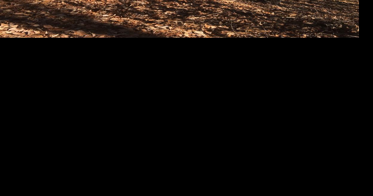 Deep in the Quiet of December | A&E | The Paper