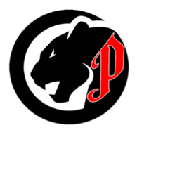 Both Patton swim teams 2nd in host meet | Sports | The Paper
