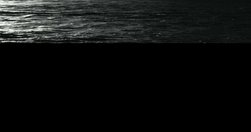 Freeman’s poems illustrate the terrible, marvelous world | A&E ...