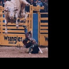 bodacious bull record