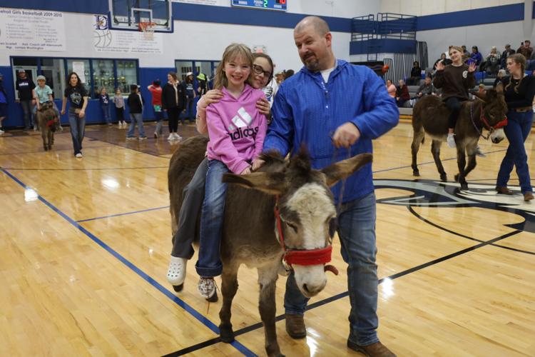 Dunking donkeys: Detroit Beta Club holds donkey basketball fundraiser ...