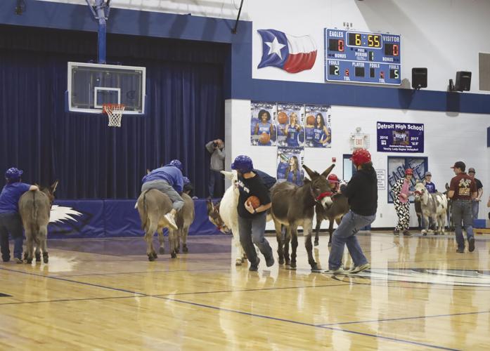 Dunking donkeys: Detroit Beta Club holds donkey basketball fundraiser ...
