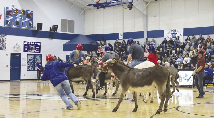 Dunking donkeys: Detroit Beta Club holds donkey basketball fundraiser ...