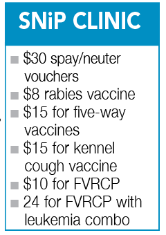 SNiP clinic is back | News | theparisnews.com
