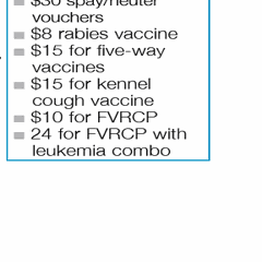 SNiP clinic is back | News | theparisnews.com