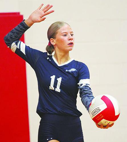 All-RRV Volleyball 2025: Paris’ Severson shines in first varsity season ...