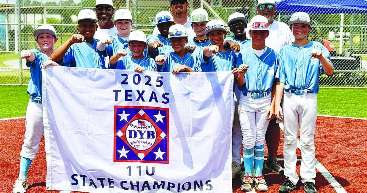 Community Faces: Paris 11U Baseball All-stars win State title with ...