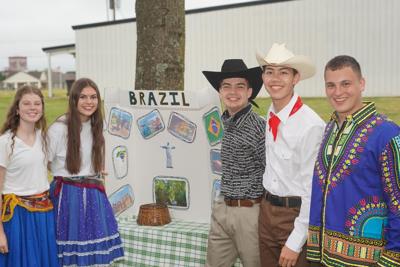 NLHS holds World Cultural Fair | News | theparisnews.com