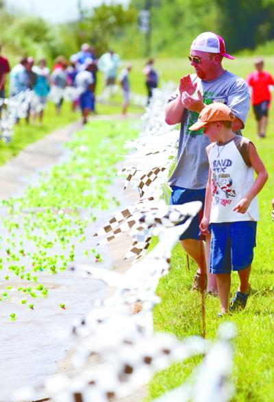 Turtle race preparations underway | News | theparisnews.com