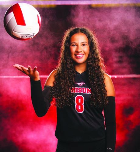 A stellar Lady Mustang class: Chisum volleyball racks up All-District ...