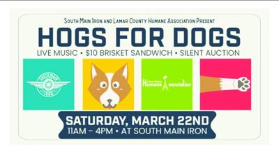 Hogs for Dogs event set for Saturday at South Main Iron | News ...